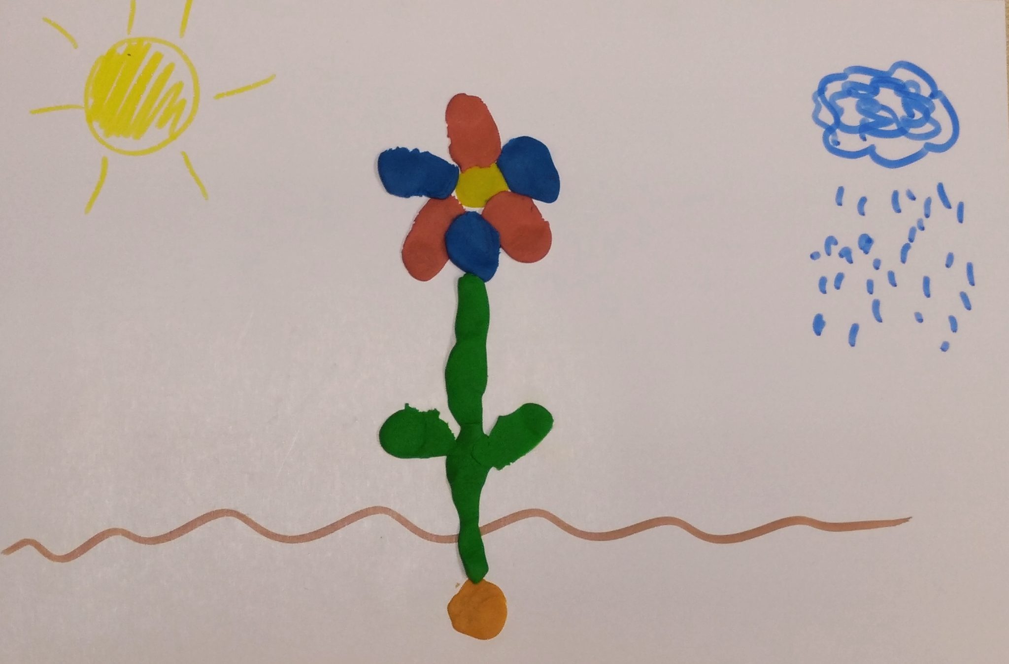 Story lesson ideas #1: The Little Seed - Funky Socks & Dragons